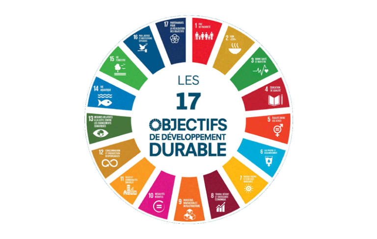 A mi-parcours, les ODD auront leur norme de management – Groupe AFNOR
